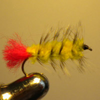 AnglersDream.net - Wooly Worm Yellow/Red